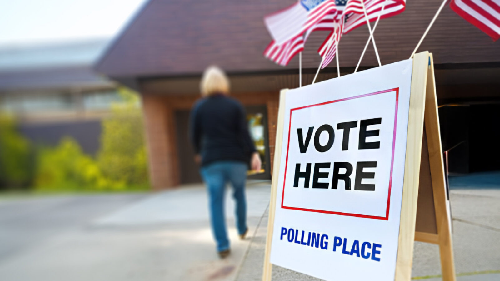 What True Election Integrity Looks Like - Declare